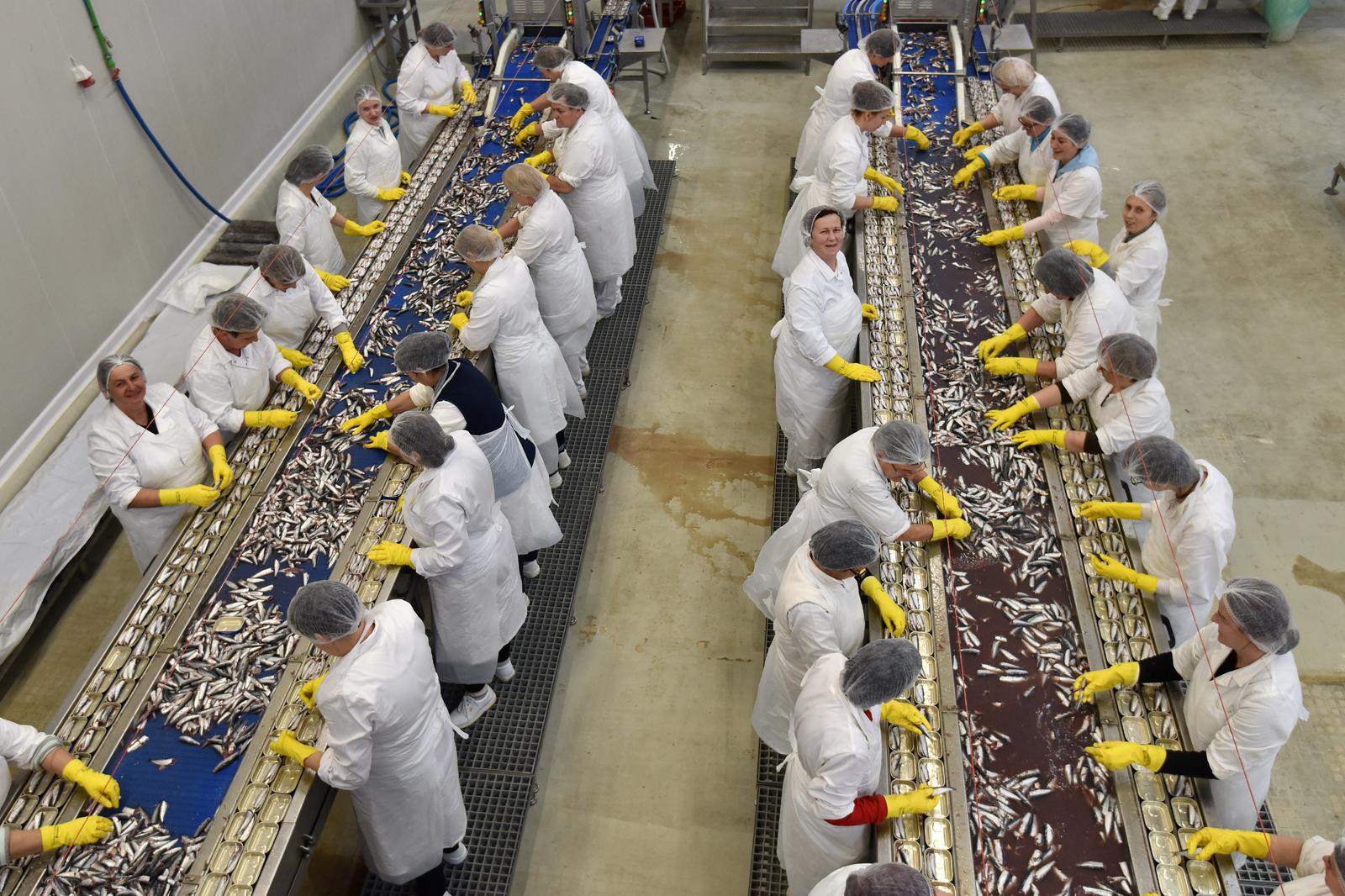 Kako je PPDIV nestao iz rovinjske Mirne? VIŠE OD 130 RADNIKA IZAŠLO IZ ...